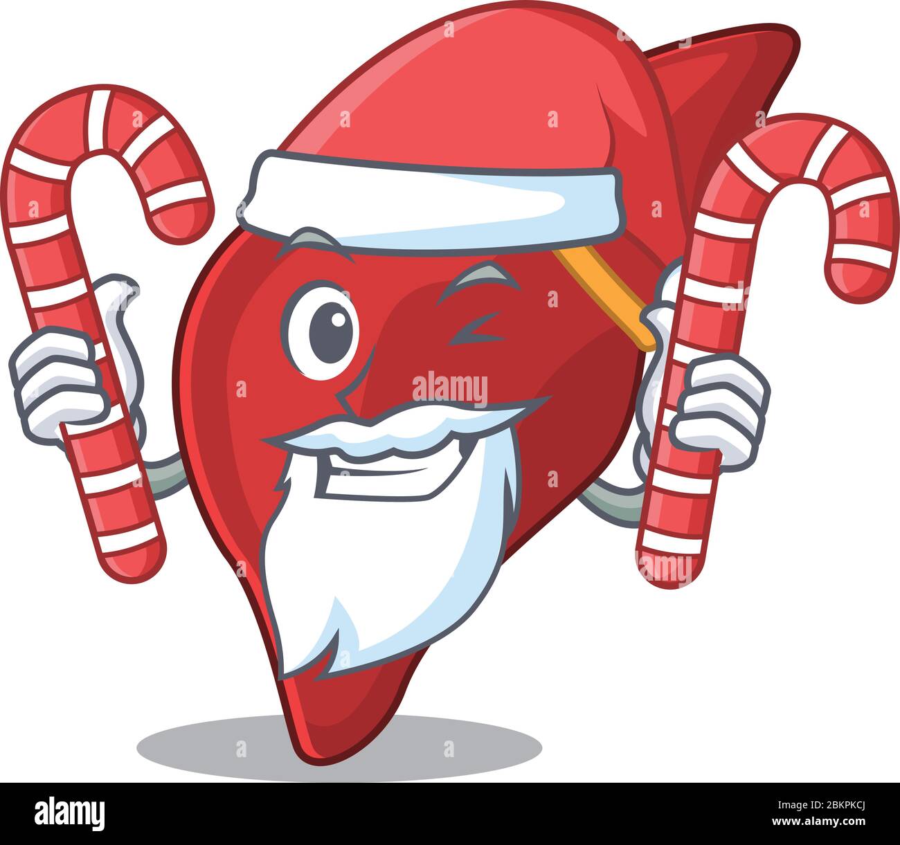 Friendly healthy human liver in Santa Cartoon character holds Christmas ...
