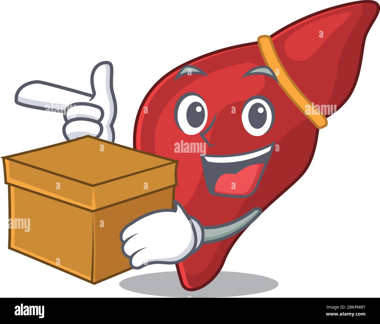 An picture of healthy human liver cartoon design concept holding a box ...