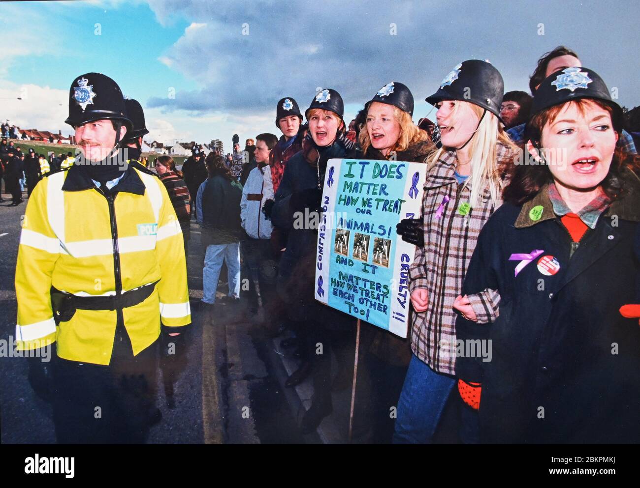 Live animal export protests shoreham hi-res stock photography and ...