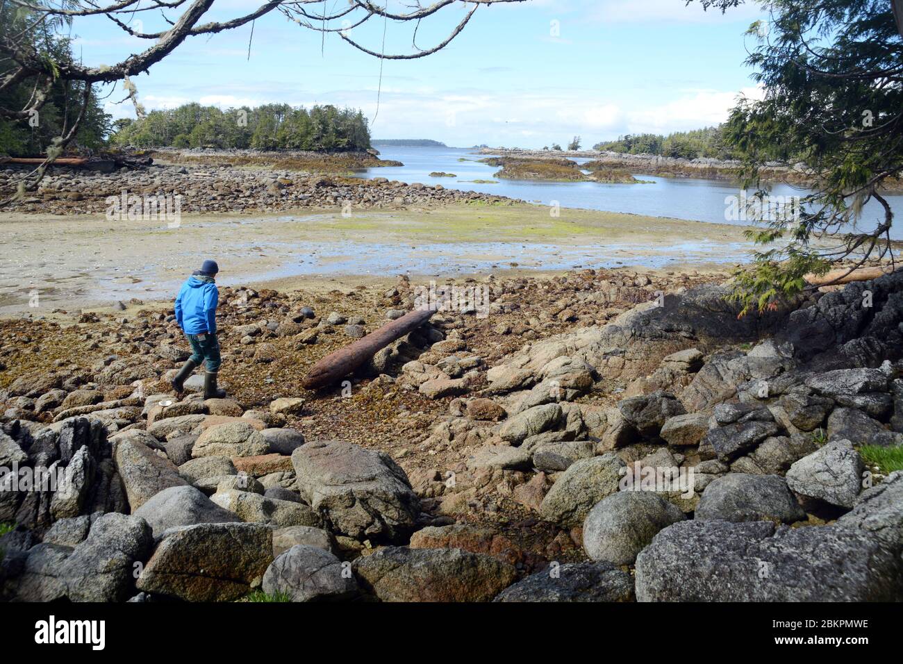 Intertidal zone hi-res stock photography and images - Alamy