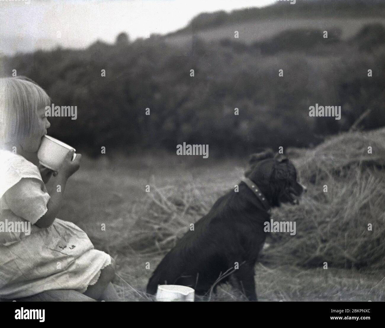 Farm uk 1930s hi-res stock photography and images - Alamy