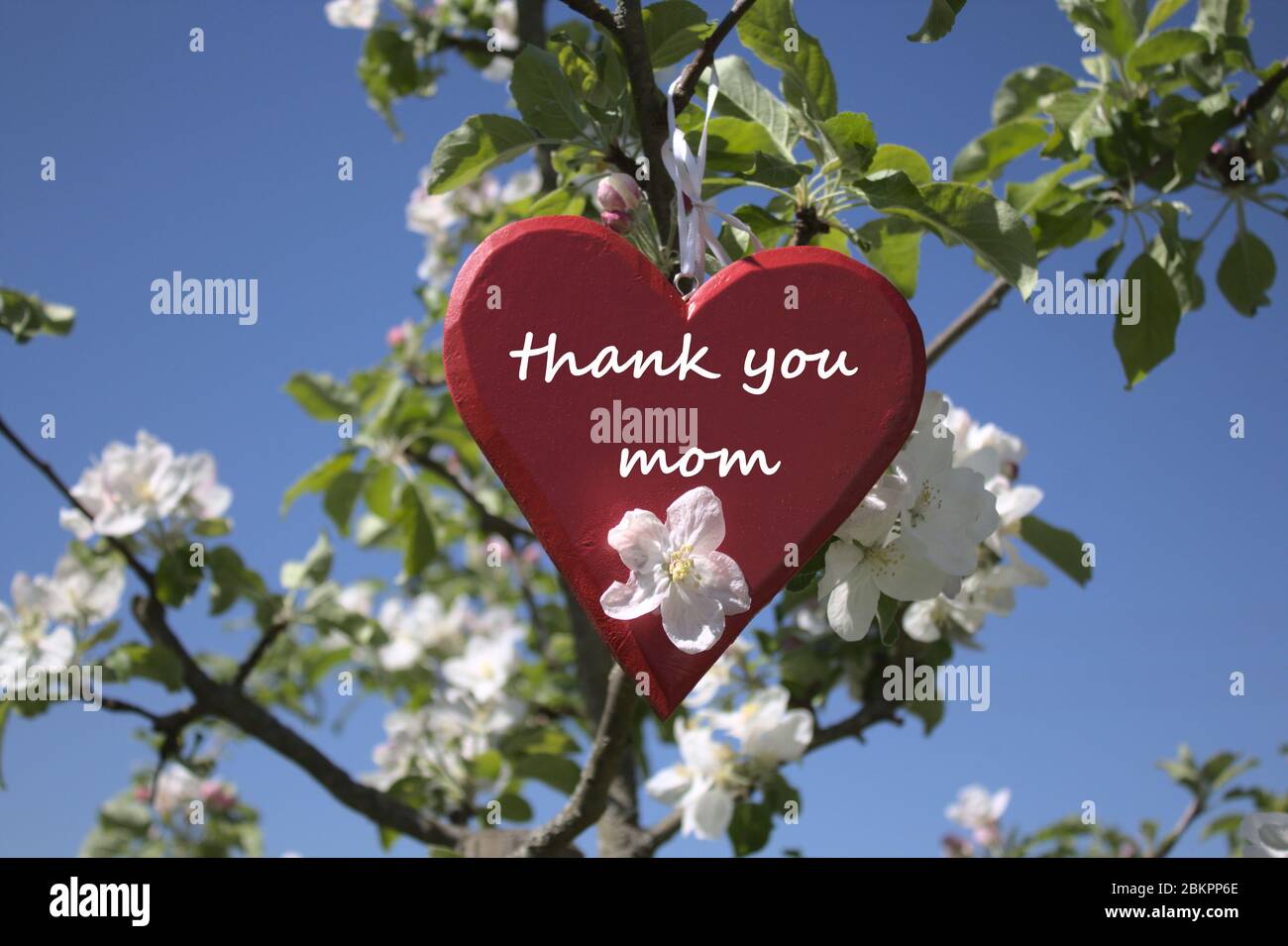 Red love apple trees hi-res stock photography and images - Alamy