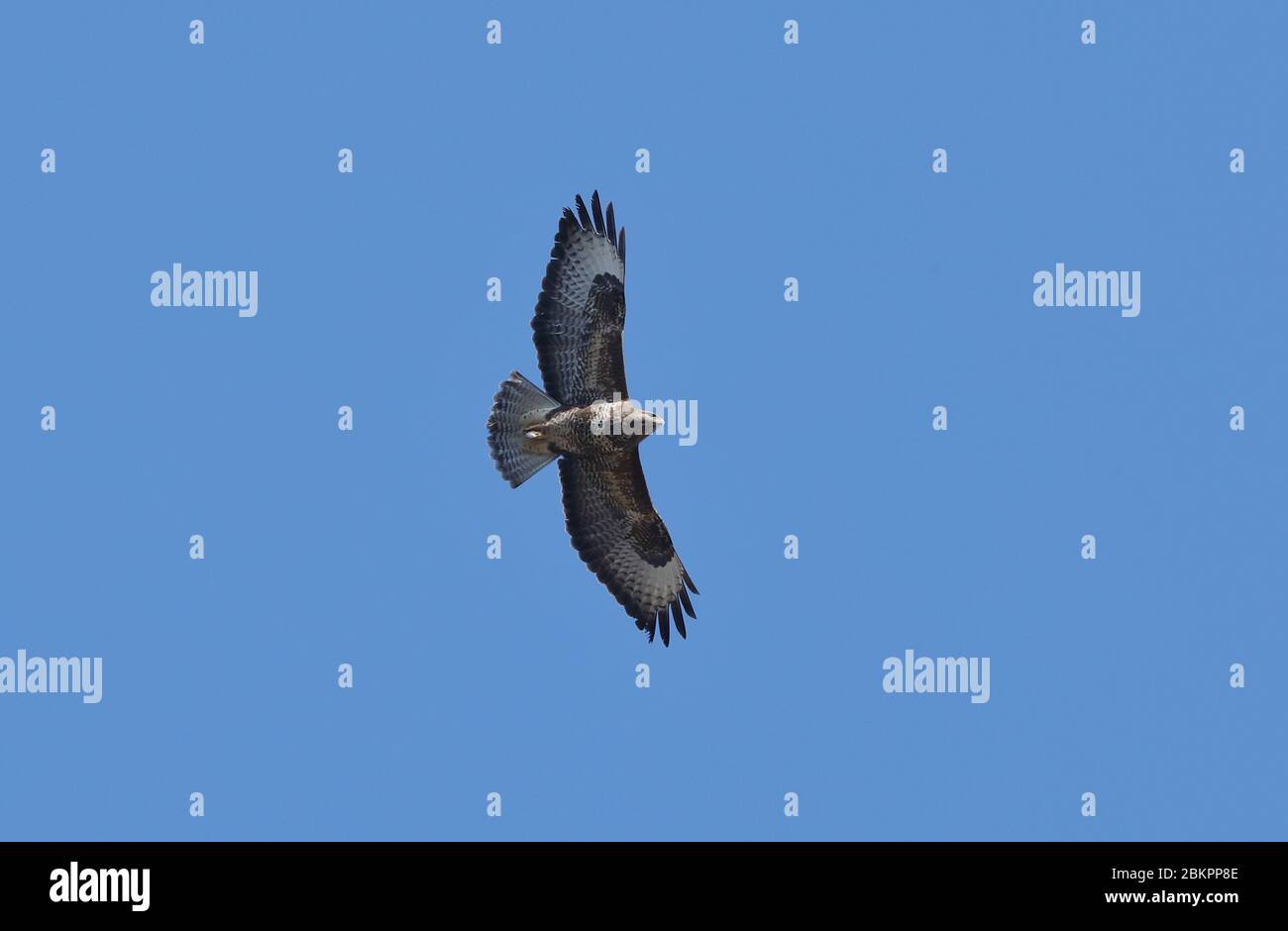 Flying overhead hi-res stock photography and images - Alamy