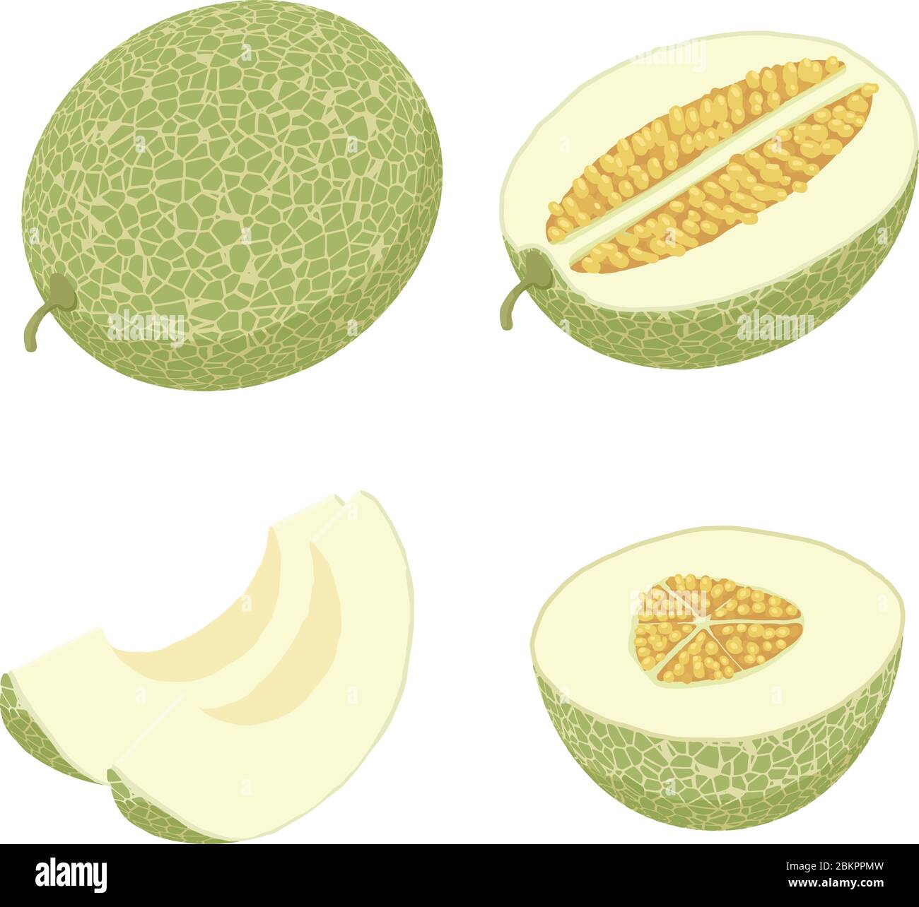 Melon icons set. Isometric set of melon vector icons for web design ...
