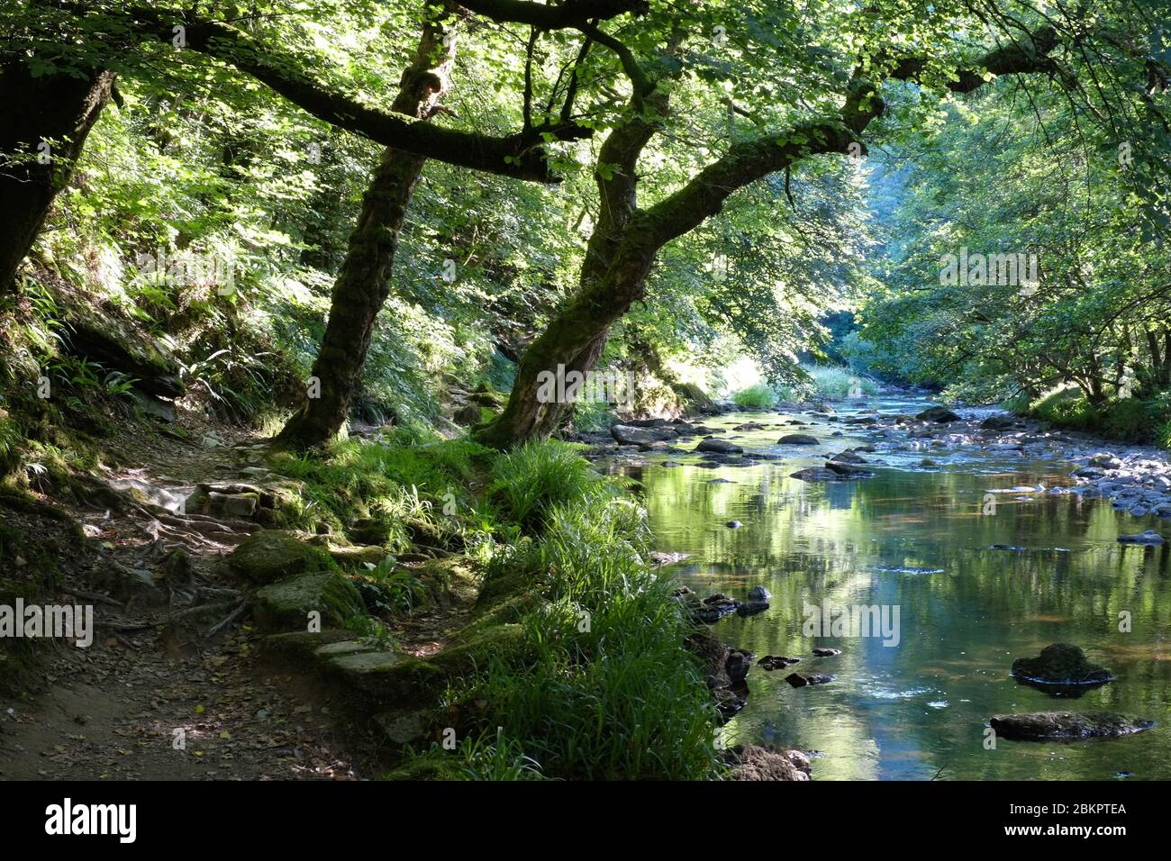 Reflections in the River Barle, Exmoor, Devon Stock Photo - Alamy