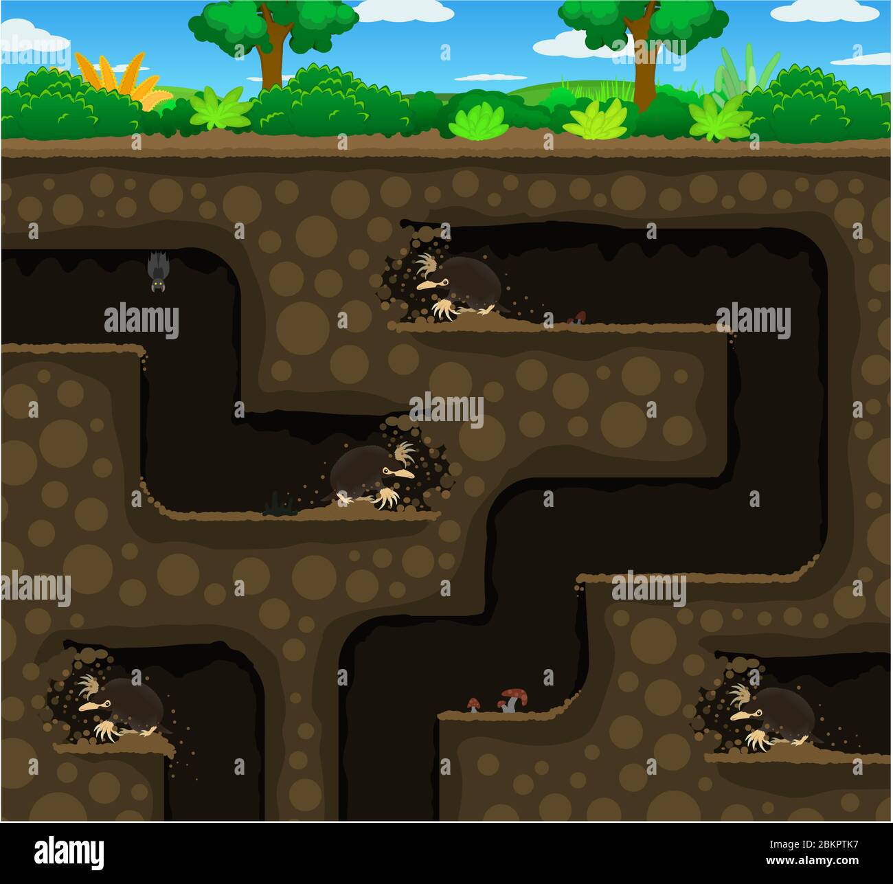 Cartoon Mole High Resolution Stock Photography and Images - Alamy