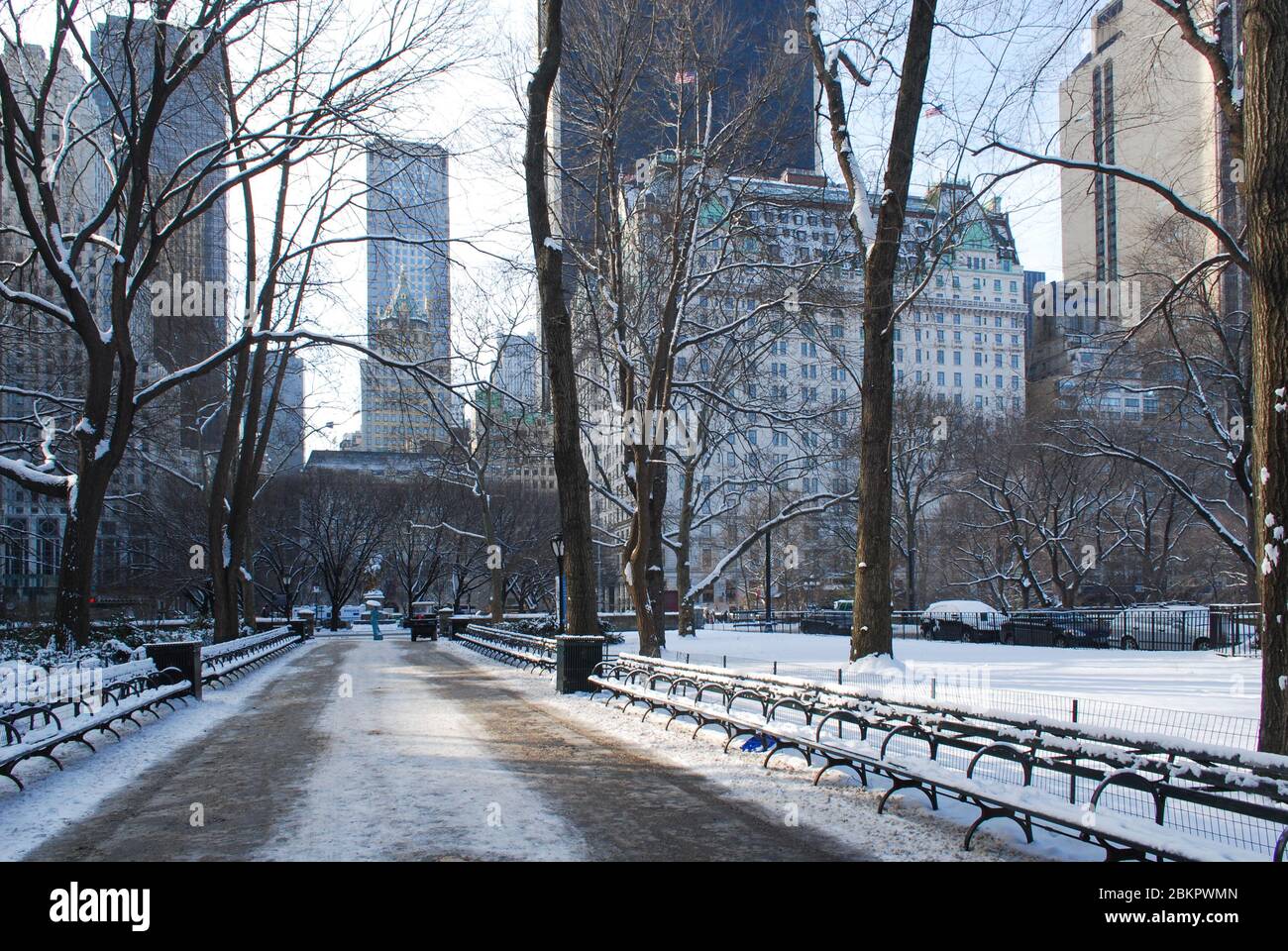 Snow in Central Park in Manhattan, New York, United States Stock Photo ...
