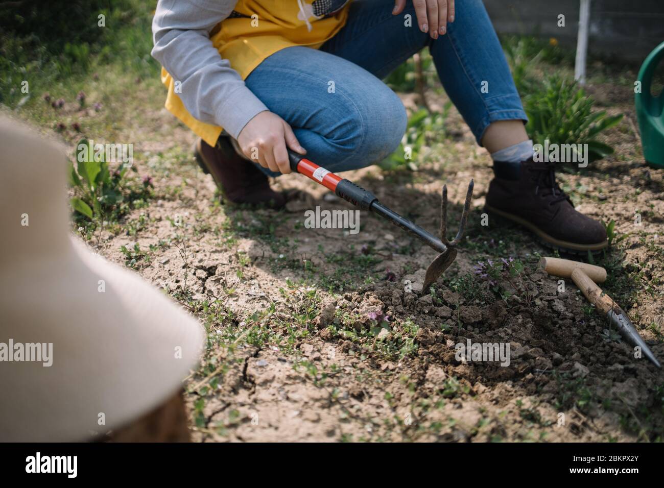 Cropped woman digging the soil using fork and mattock. Close-up view of ...
