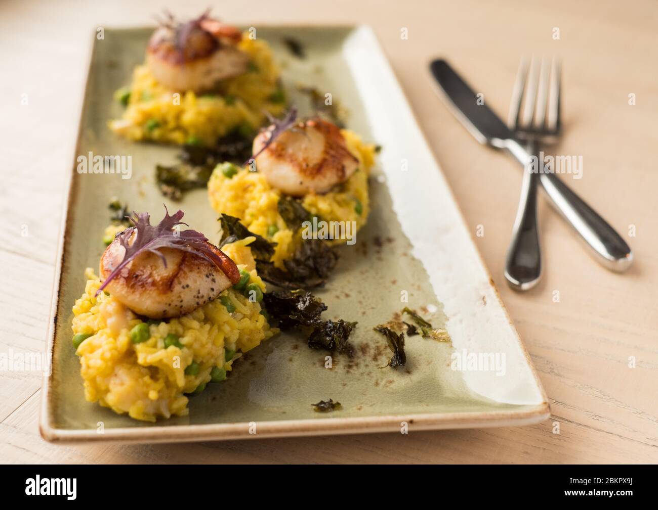 Scallops fish hi-res stock photography and images - Alamy
