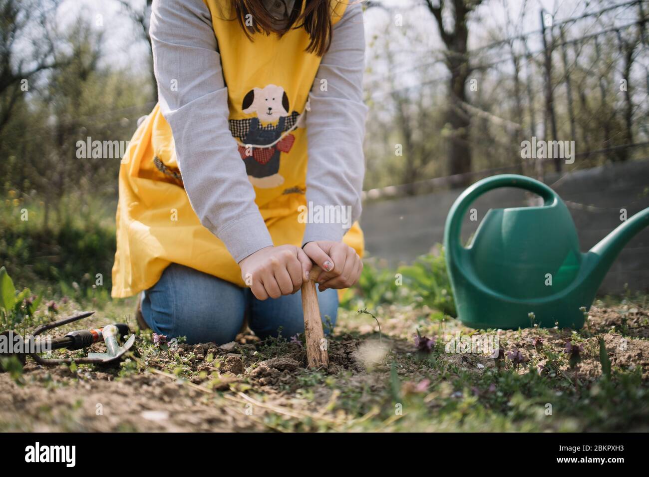 Cropped lady planting using wooden hand seeder. Close-up view of female ...