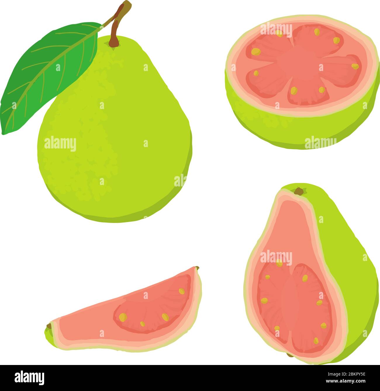 Guava icons set. Isometric set of guava vector icons for web design ...