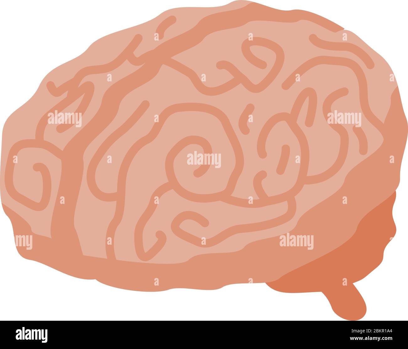 Human brain icon, isometric style Stock Vector Image & Art - Alamy