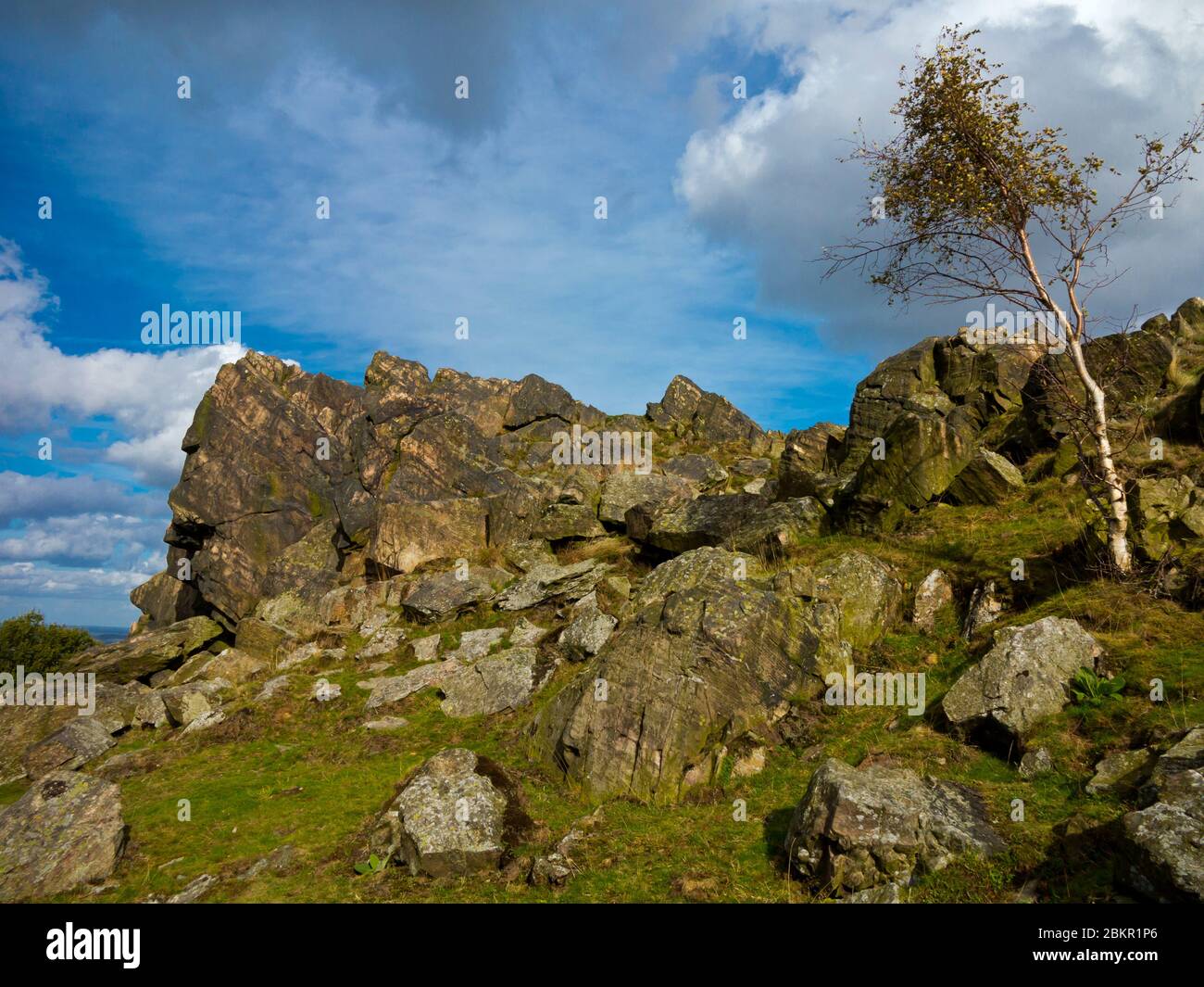Igneous rocks at Beacon Hill a country park and Site of Special ...