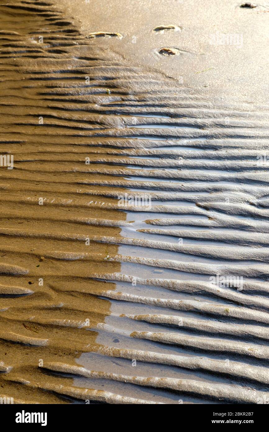 Rivulets caused by receding tide in sand at the beach Stock Photo - Alamy