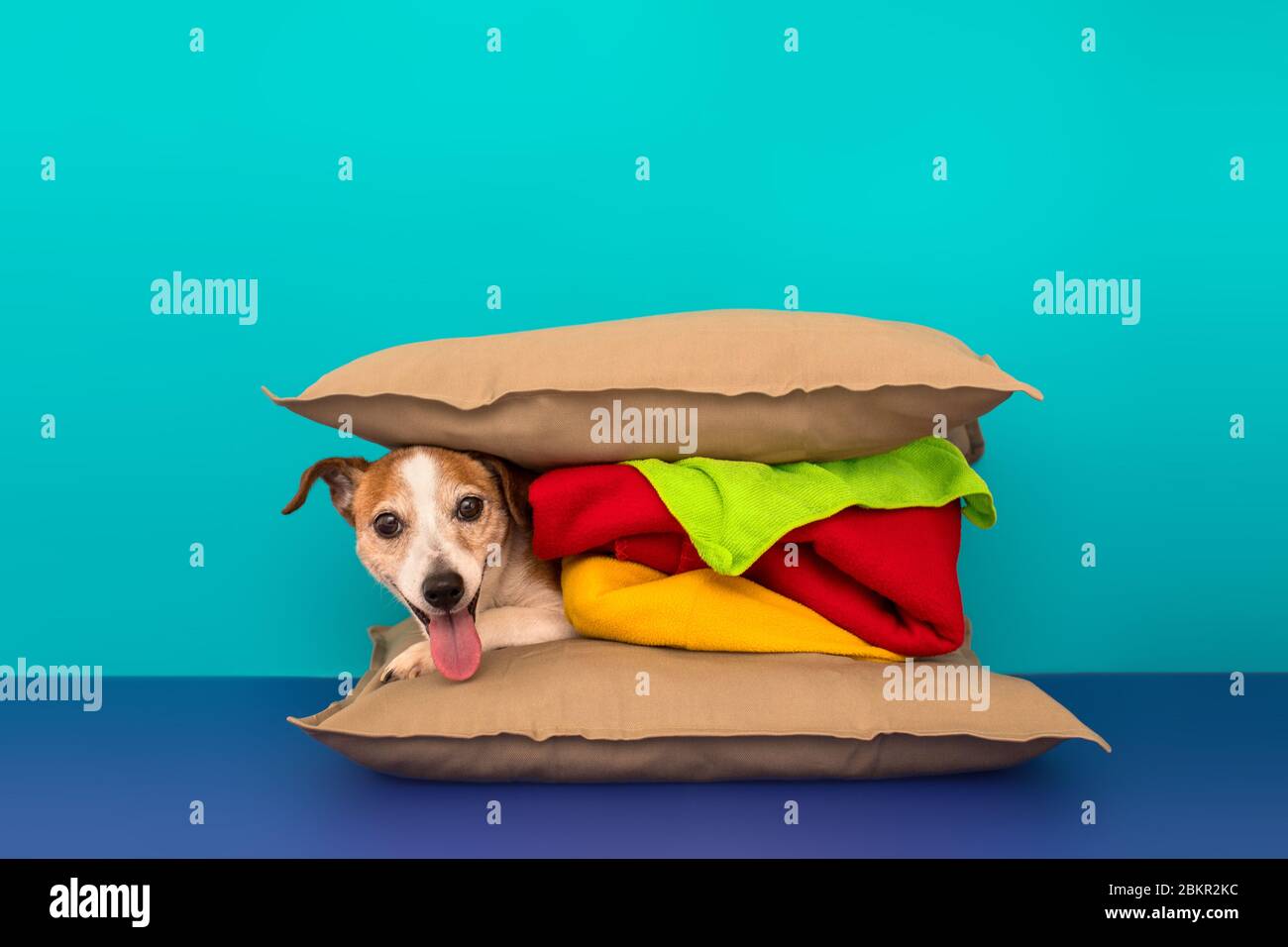 Cute burger hi-res stock photography and images - Alamy