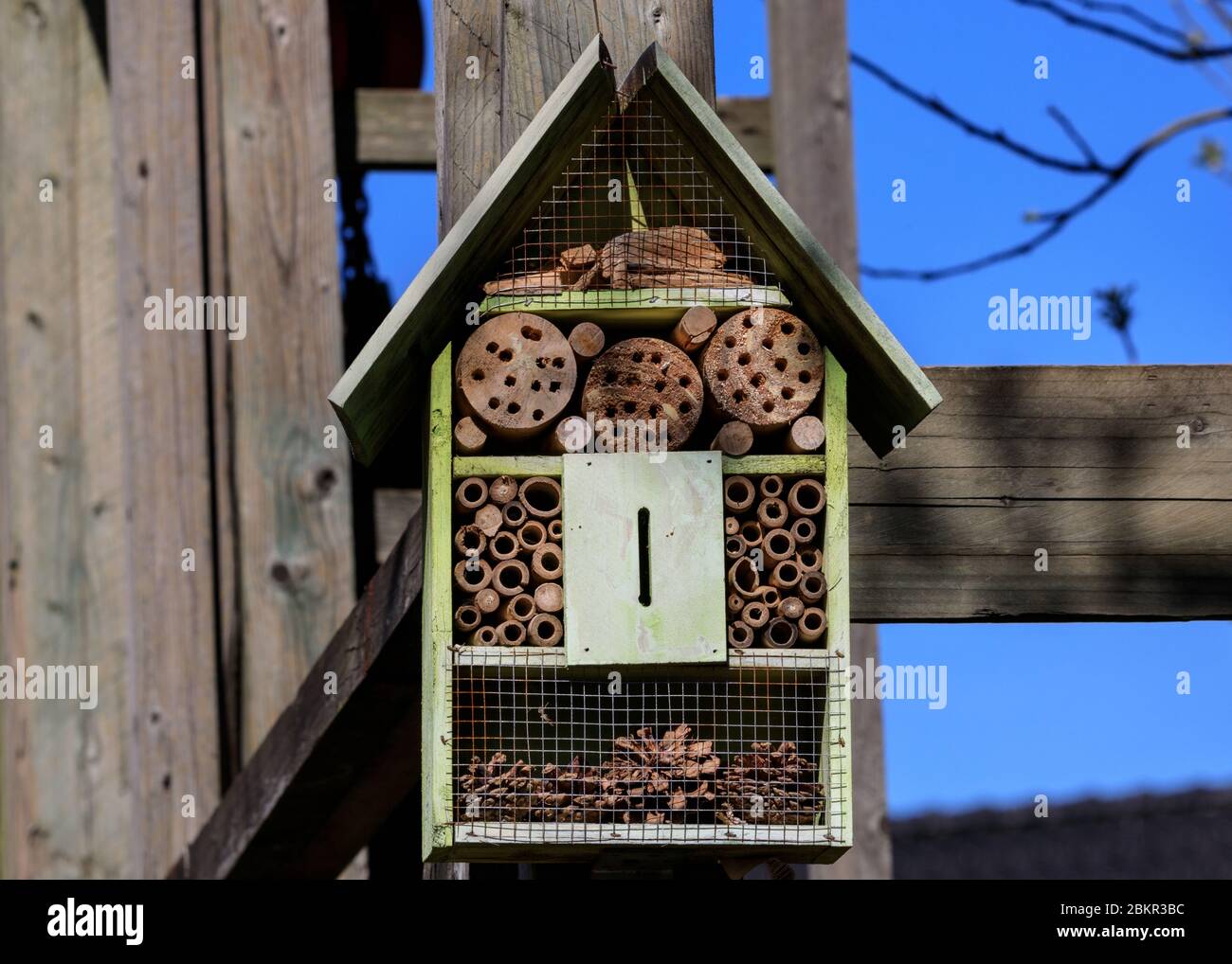 Insect habitat hi-res stock photography and images - Alamy