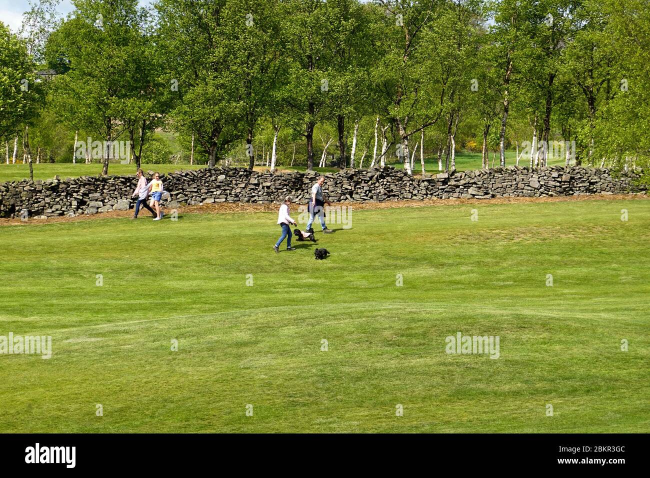 Walkers go across the public path on New Mills Golf Course Stock Photo ...