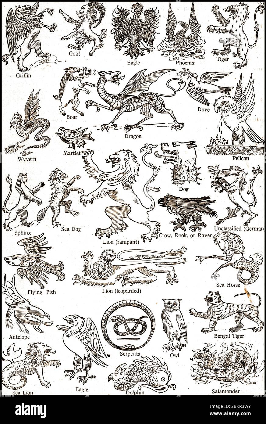 Heraldry hi-res stock photography and images - Alamy