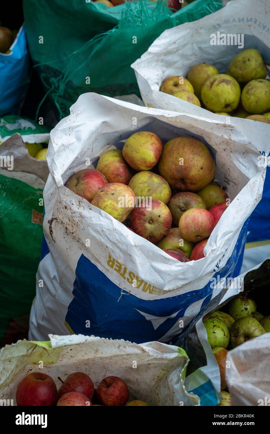 Traditional devon cider making hi-res stock photography and images - Alamy
