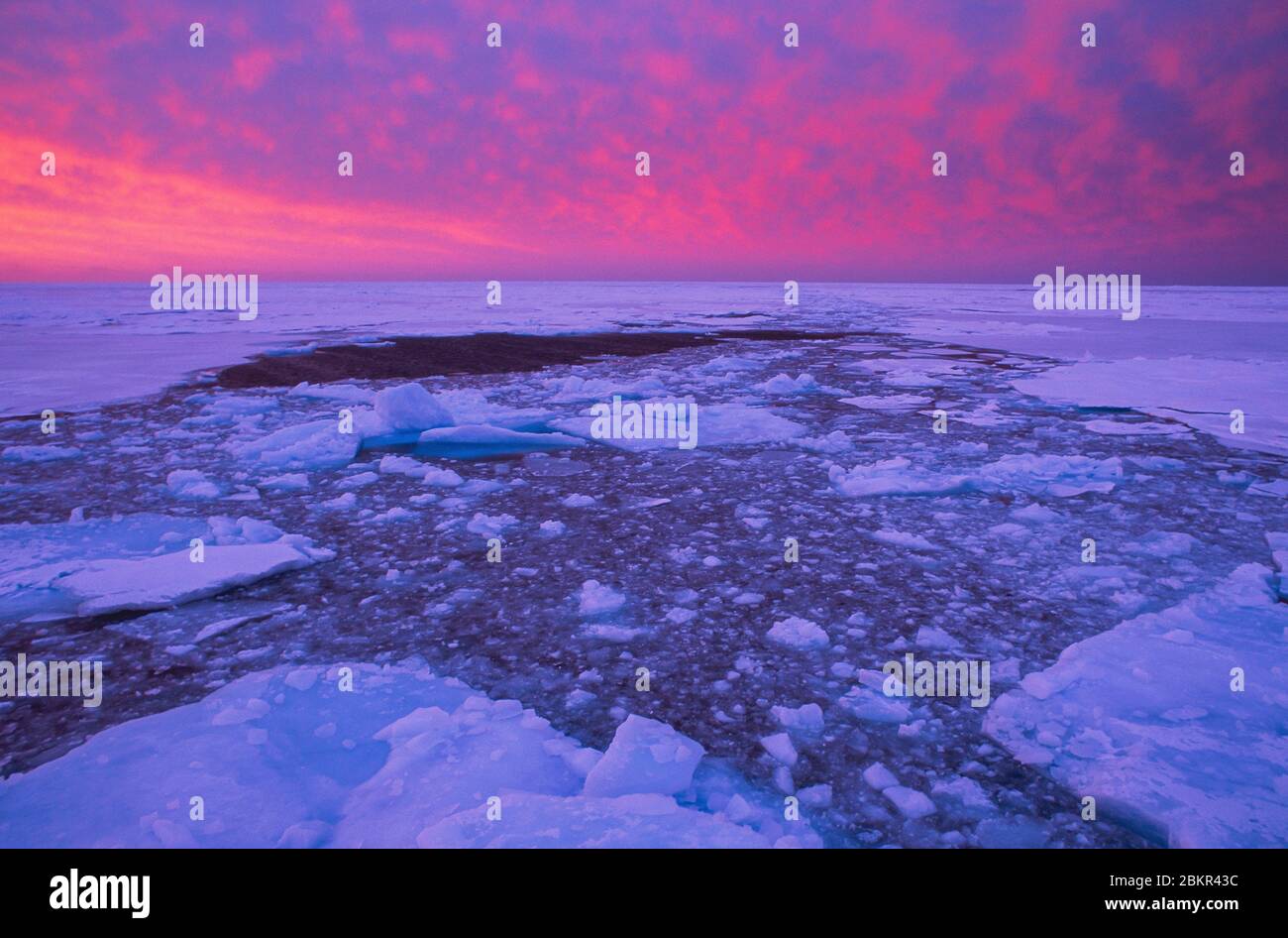 Canada, Arctic, Northwest Passage, pack ice Stock Photo - Alamy