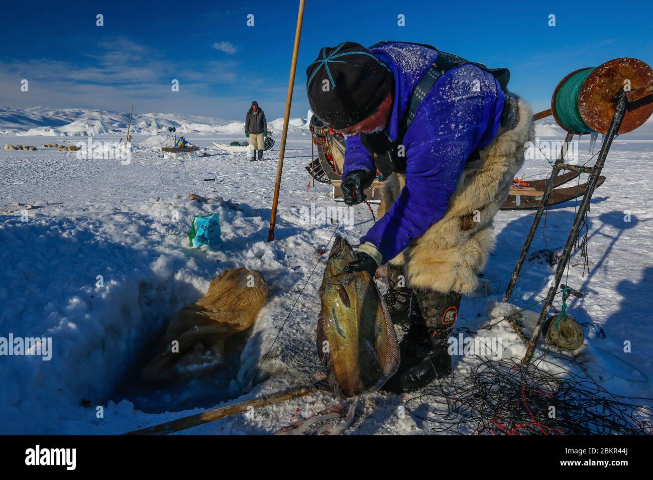 Denmark, Greenland, Disko Bay, halibut fishermen on the ice floe Stock ...