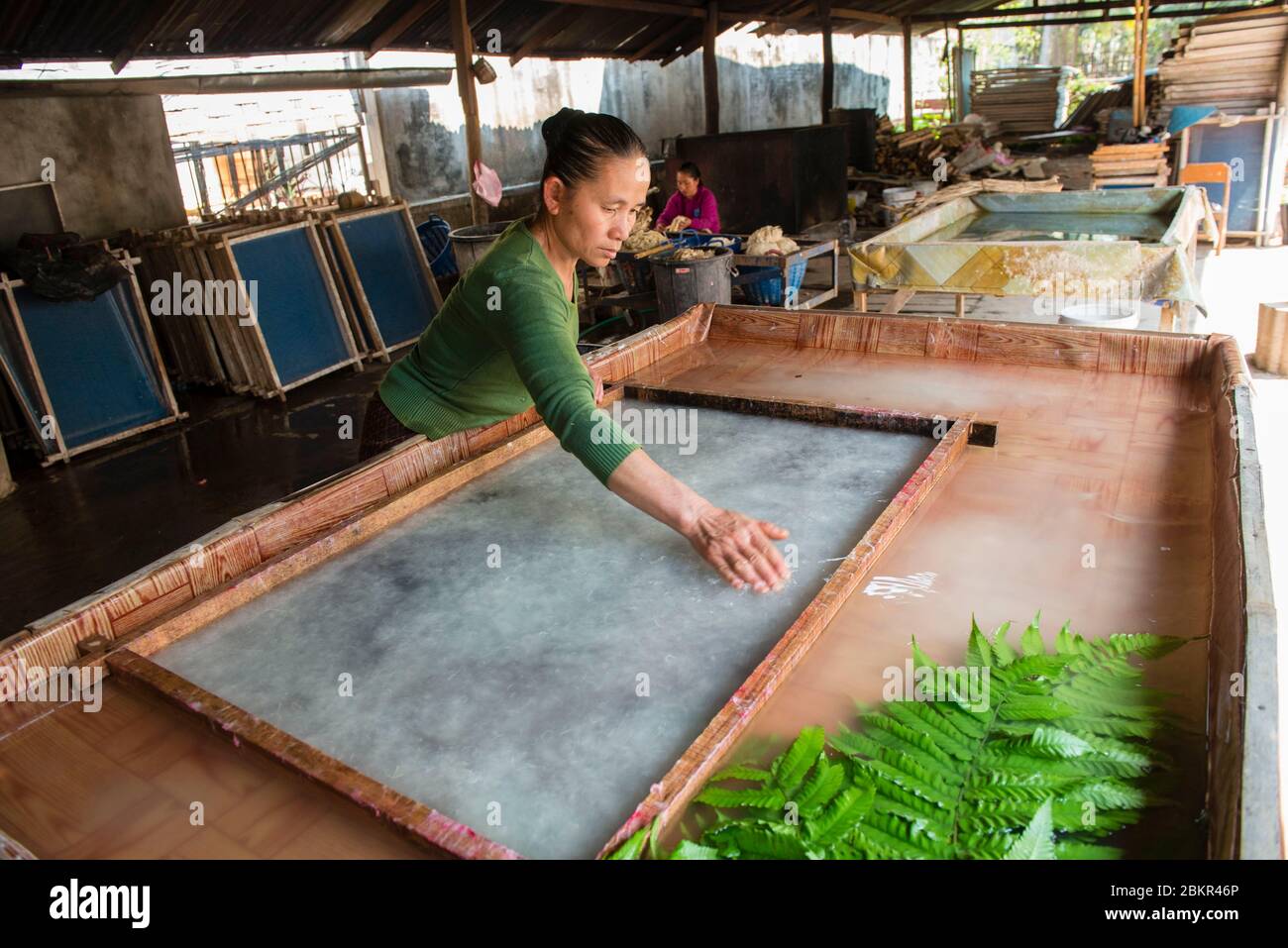 Laos, Luang Prabang city classified UNESCO world heritage, paper mill ...