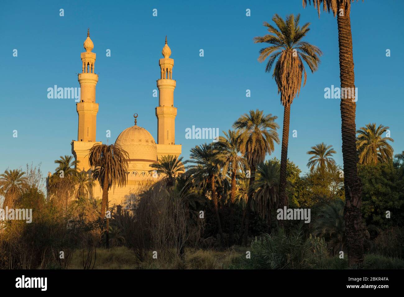 Mosque In A Valley The New Mosque And Its Complex (Istanbul, Turkey)