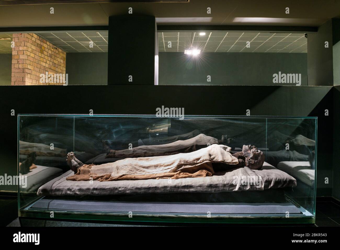 Egypt mummy museum hi-res stock photography and images - Alamy