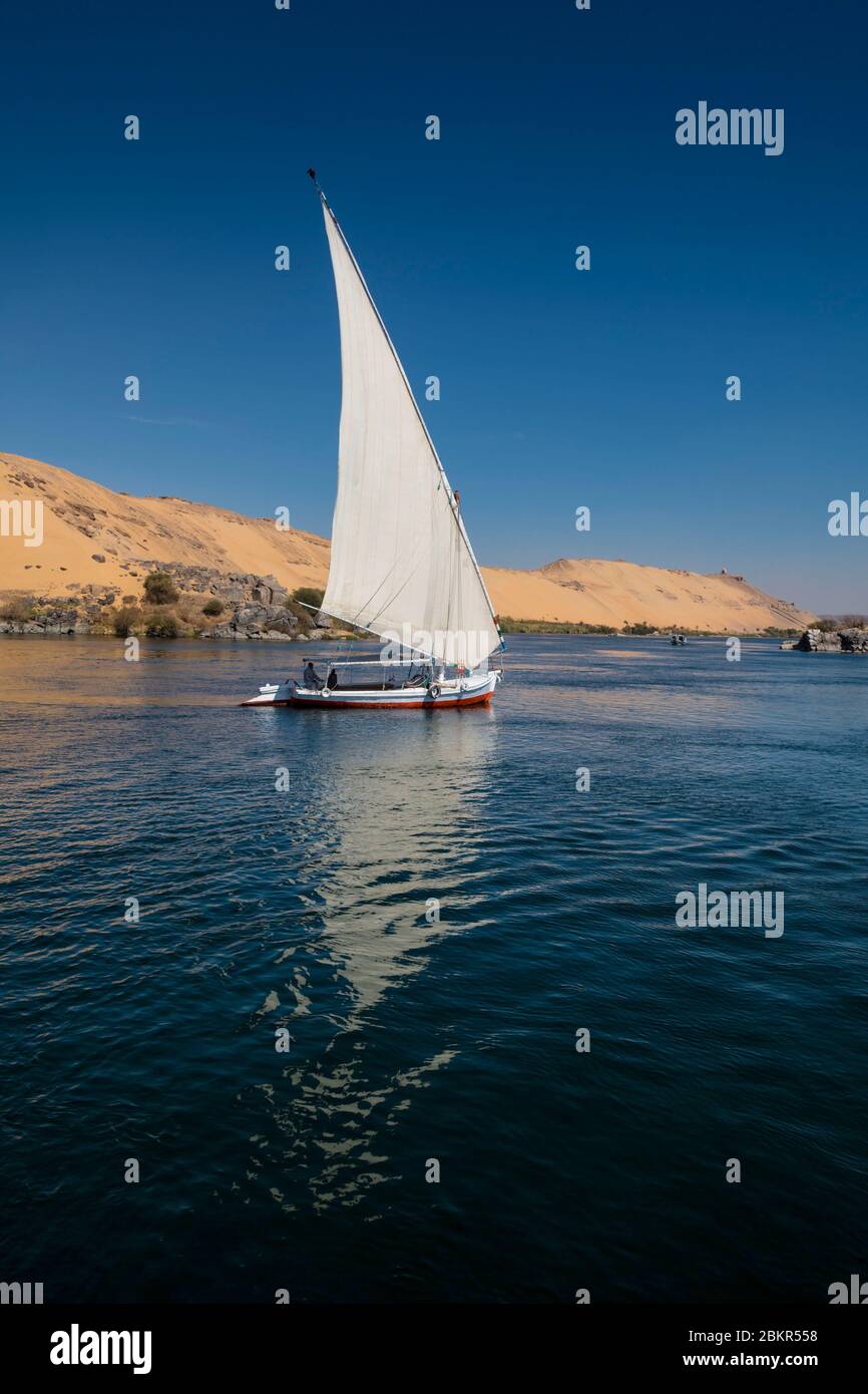 Egypt, Upper Egypt, near Elephanine island, sailor on a felucca sailing ...