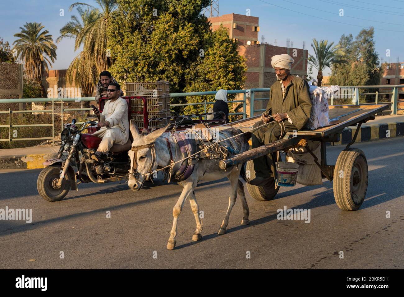 Egypt, Upper Egypt, Esna, horse cart between Luxor and Aswan Stock ...