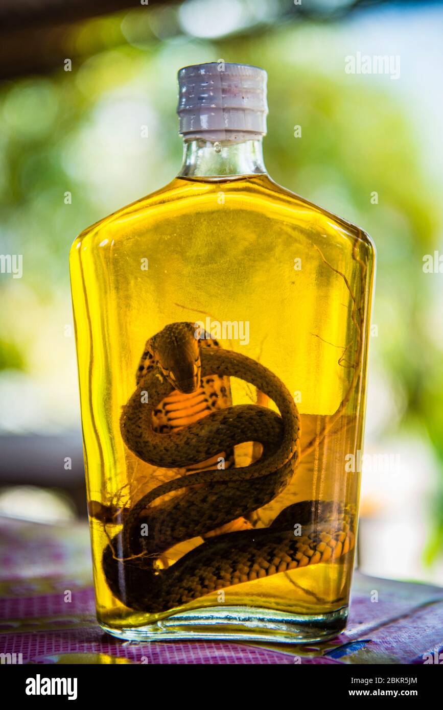 Japan Snake Alcohol