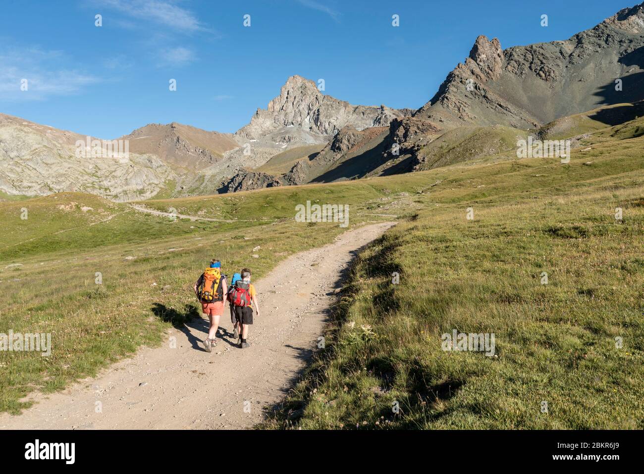 France, Hautes-Alpes (05), Queyras Regional Nature Park, Saint-V?ran ...