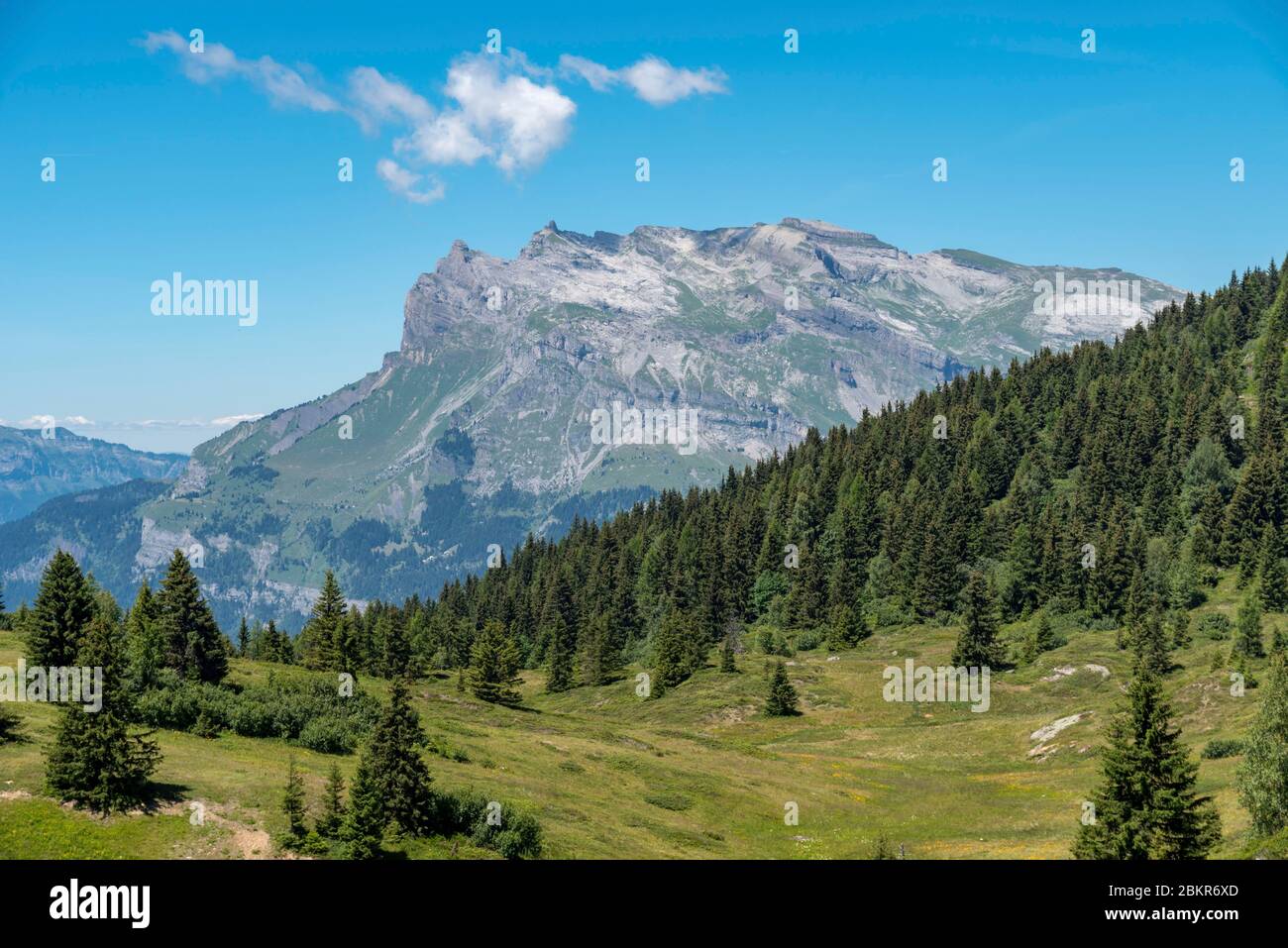 France, Haute-Savoie (74), Saint-Gervais, le Prarion, view of the Fiz ...