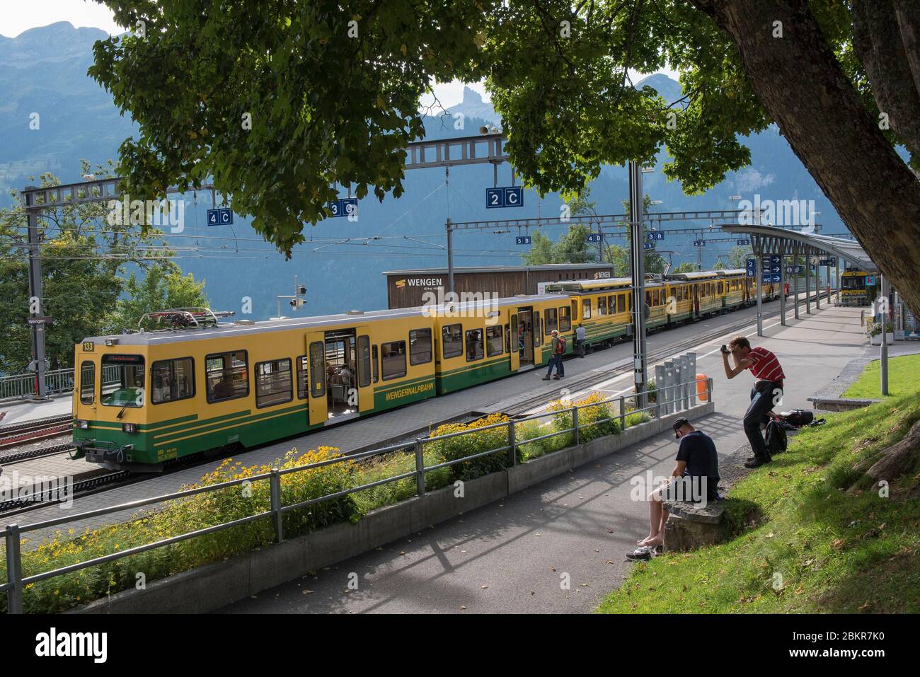 Switzerland, Bernese Oberland, Interlaken, Jungfrau train, Wengen rack ...