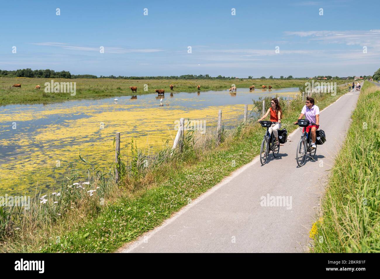 France, Somme, Le Crotoy, cycle tourists in the Baie de Somme along the ...