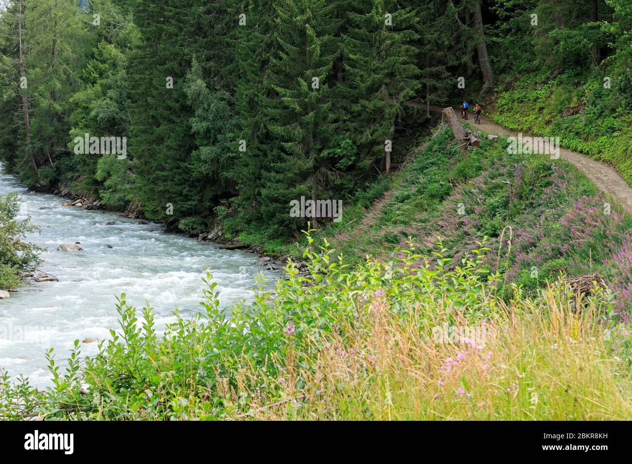 Niederwald hi-res stock photography and images - Alamy