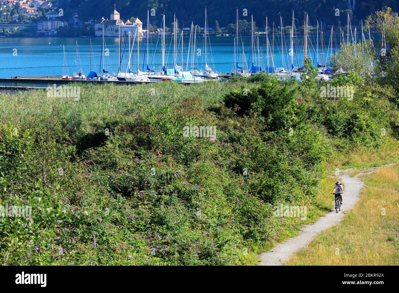 Switzerland, Canton of Vaud, Noville, Lake Geneva, Grangettes reserve ...