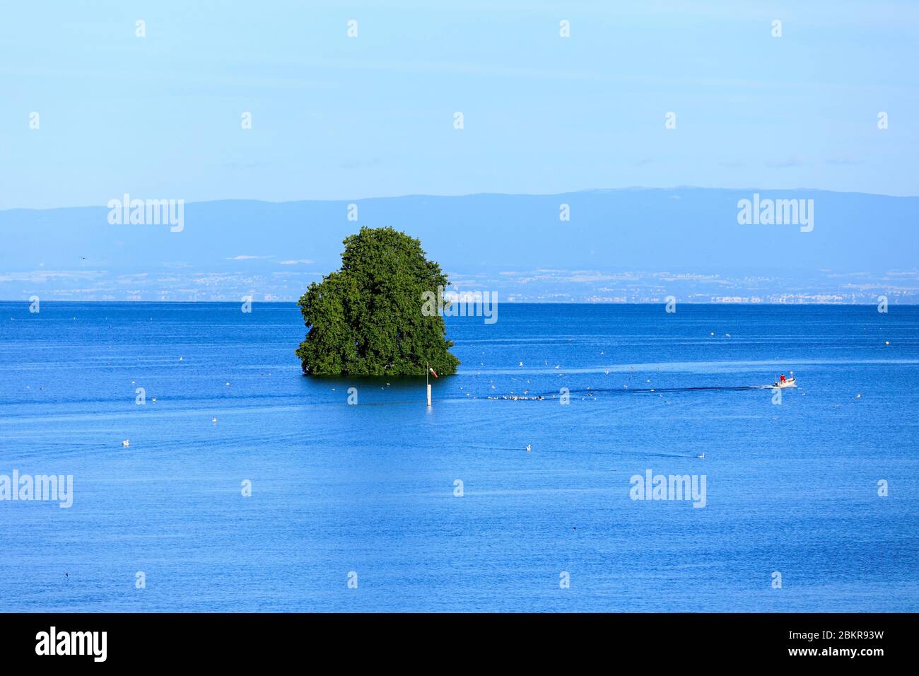 Switzerland, Canton of Vaud, Villeneuve, Lake Geneva, island of Peilz ...