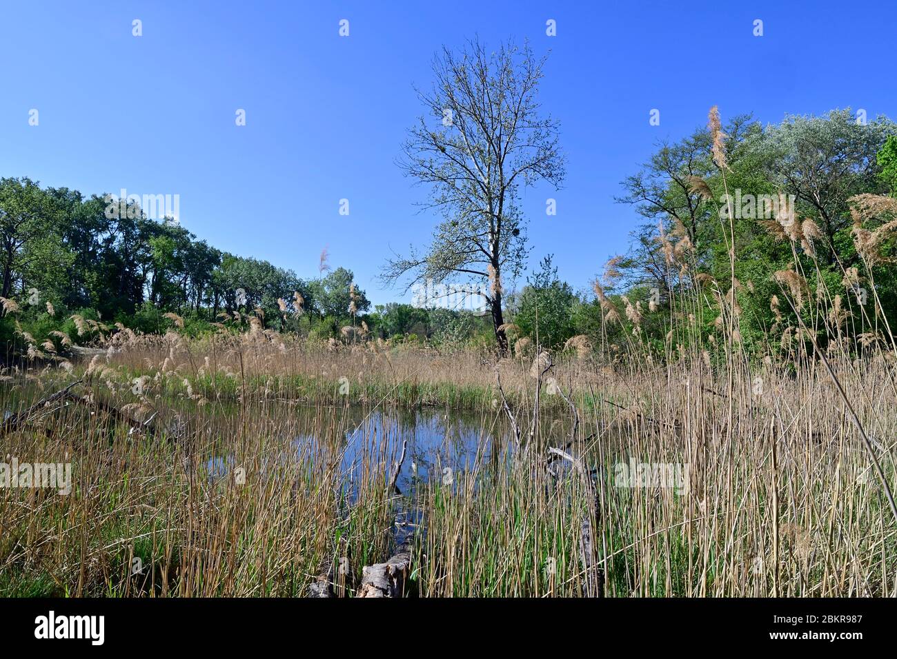 Nationalpark water hi-res stock photography and images - Alamy