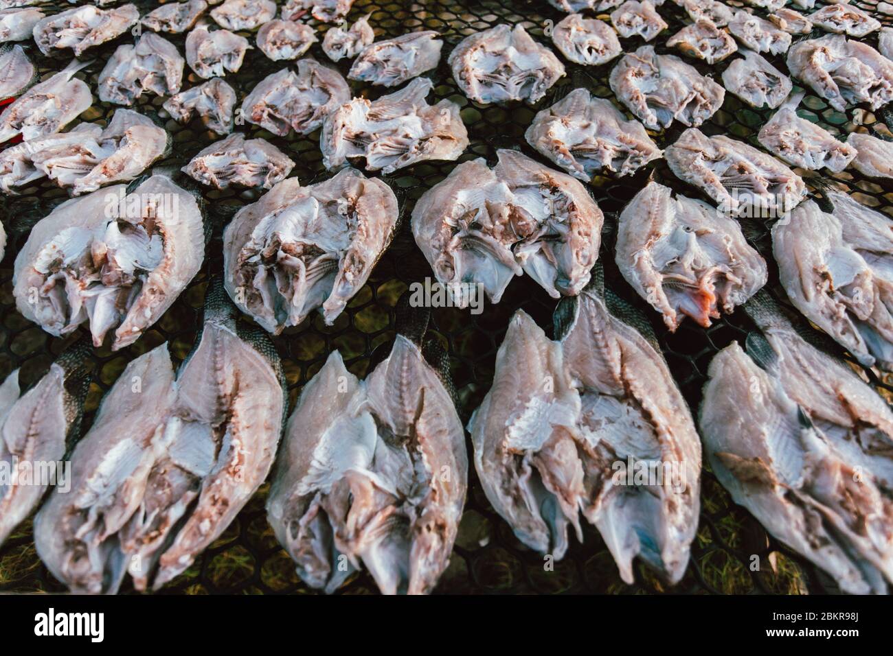Semporna, sabah fish hi-res stock photography and images - Alamy
