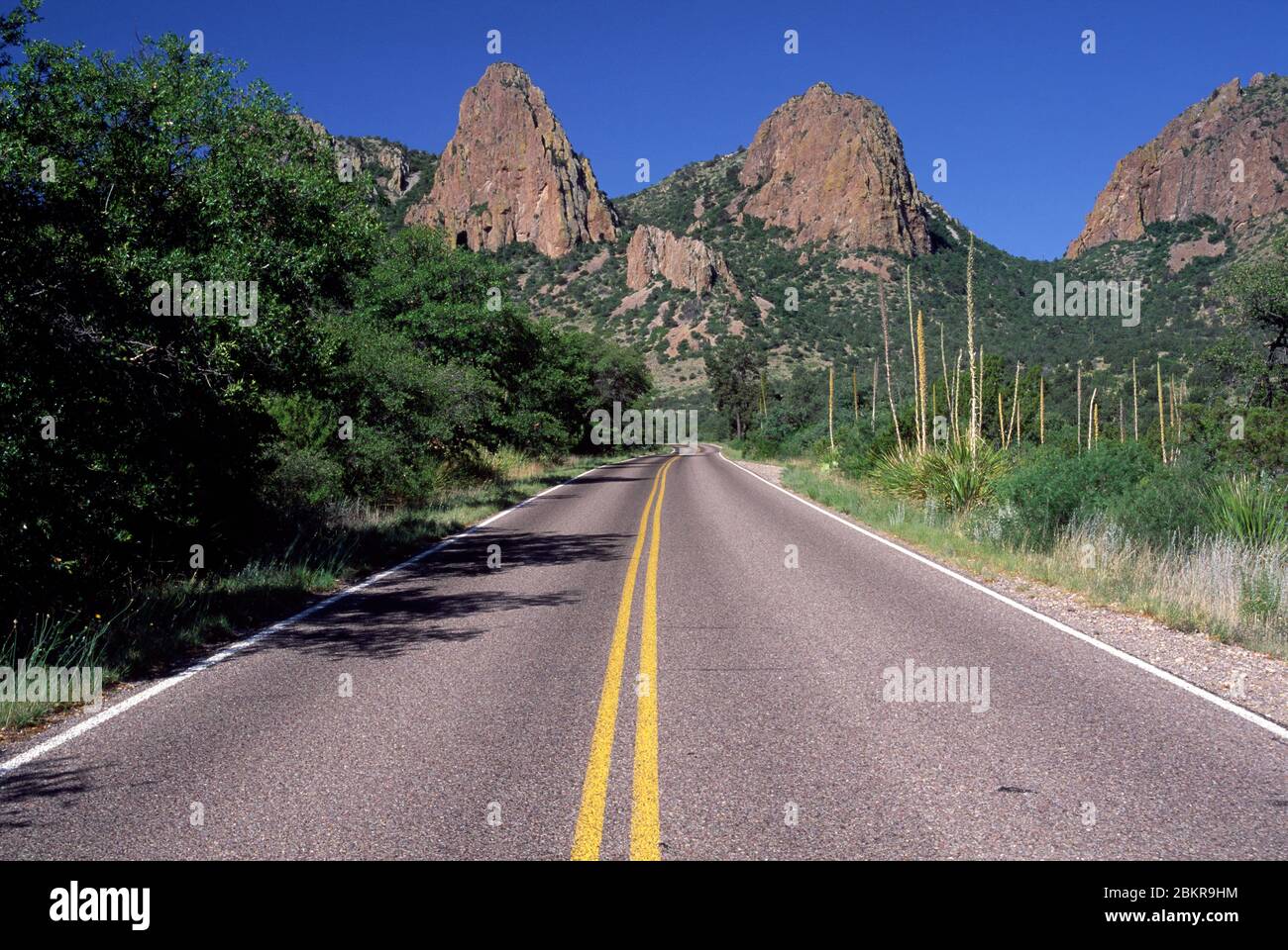 Road to The Basin, Big Bend National Park, Texas Stock Photo - Alamy