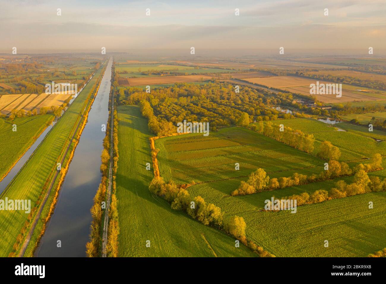 France, Somme (80), Baie de Somme, Port-le-Grand, marsh of the lower ...