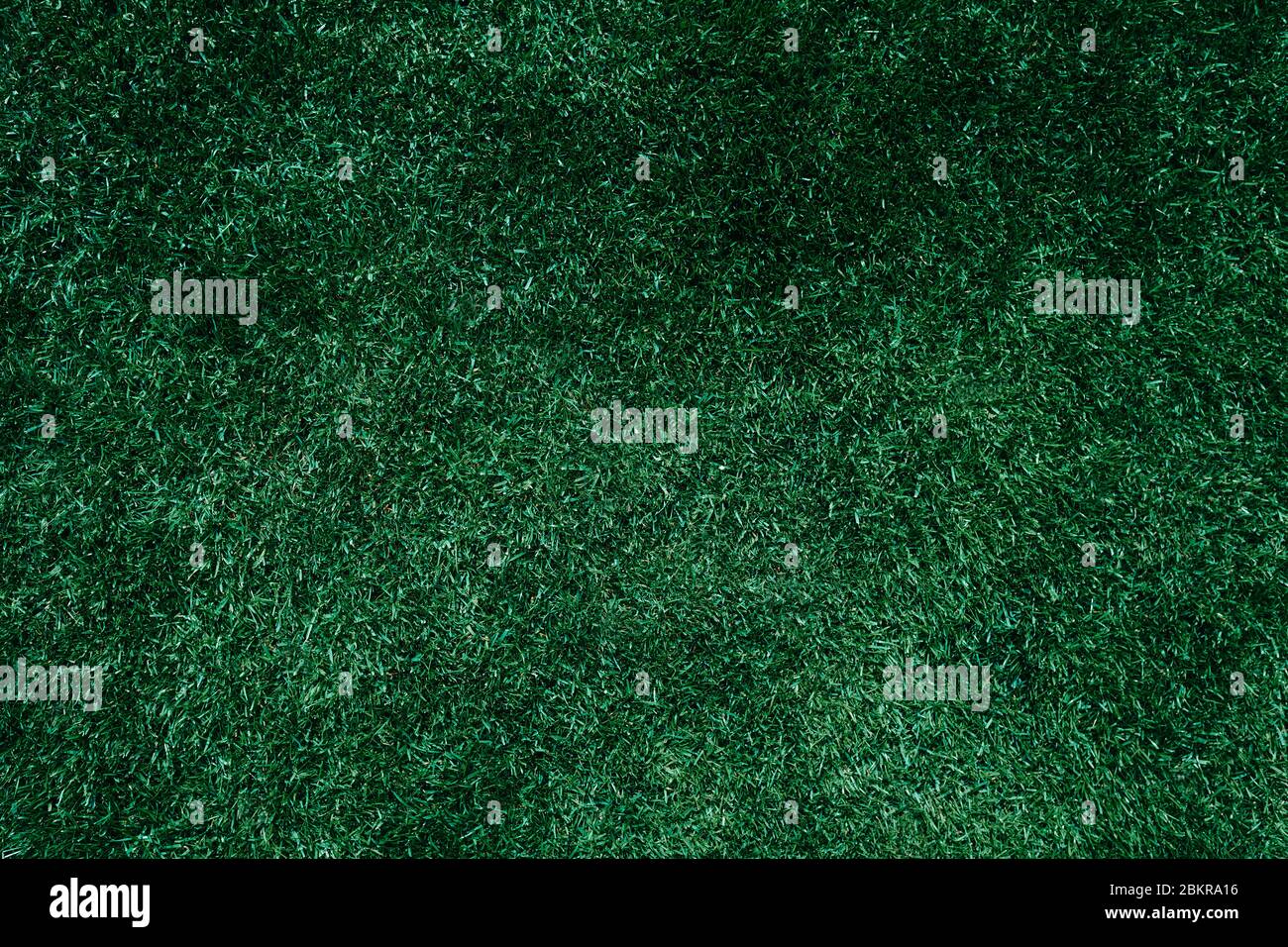 Lush green lawn in a trendy color look, sports turf, soccer turf ...