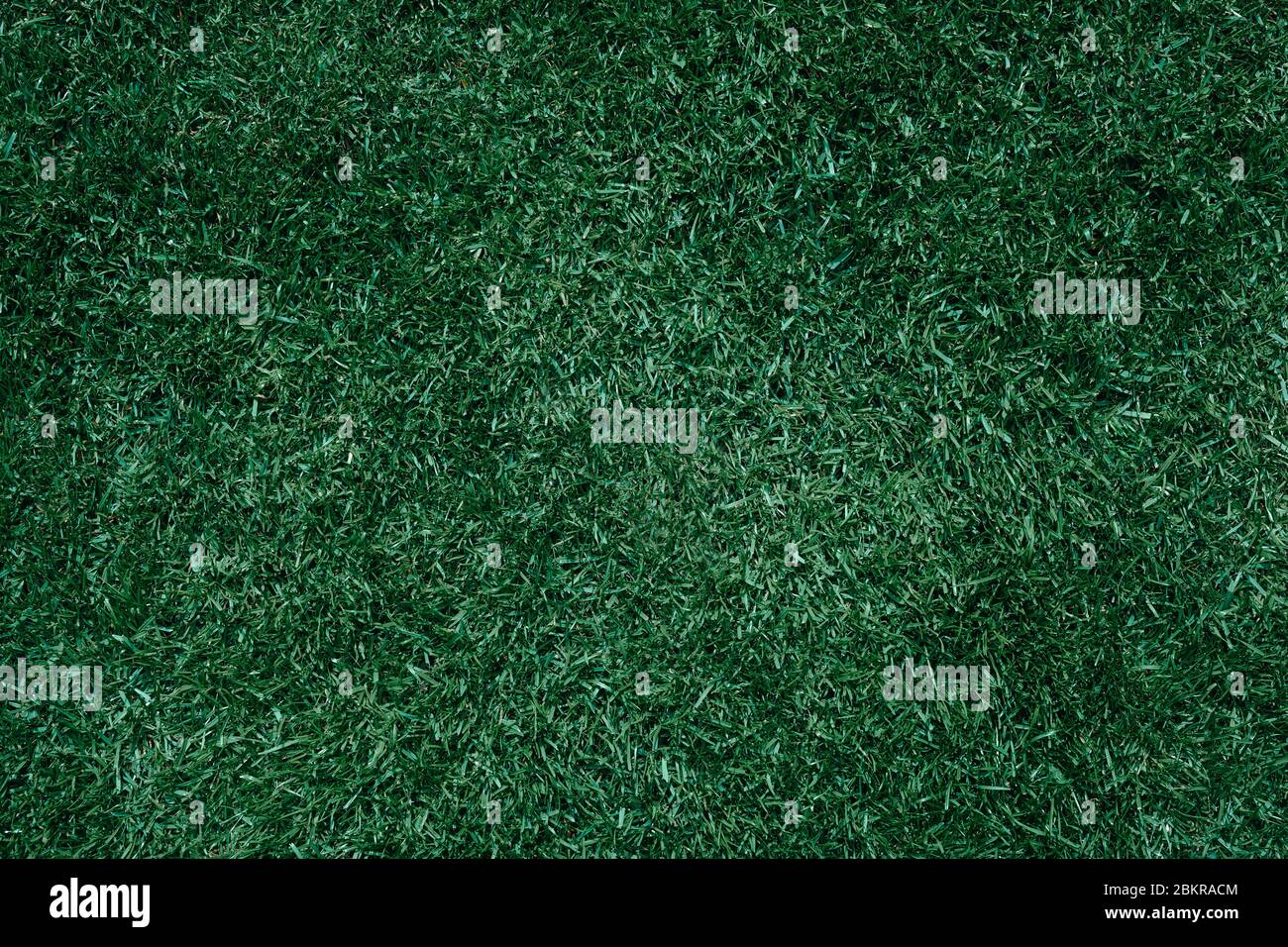 Lush green lawn in a trendy color look, sports turf, soccer turf ...