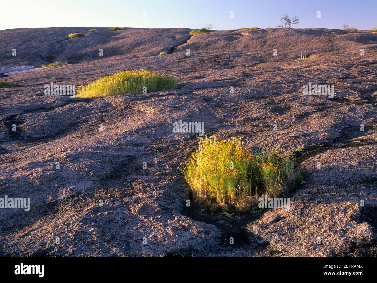 Enchanted Rock, Enchanted Rock State Park, Texas Stock Photo - Alamy