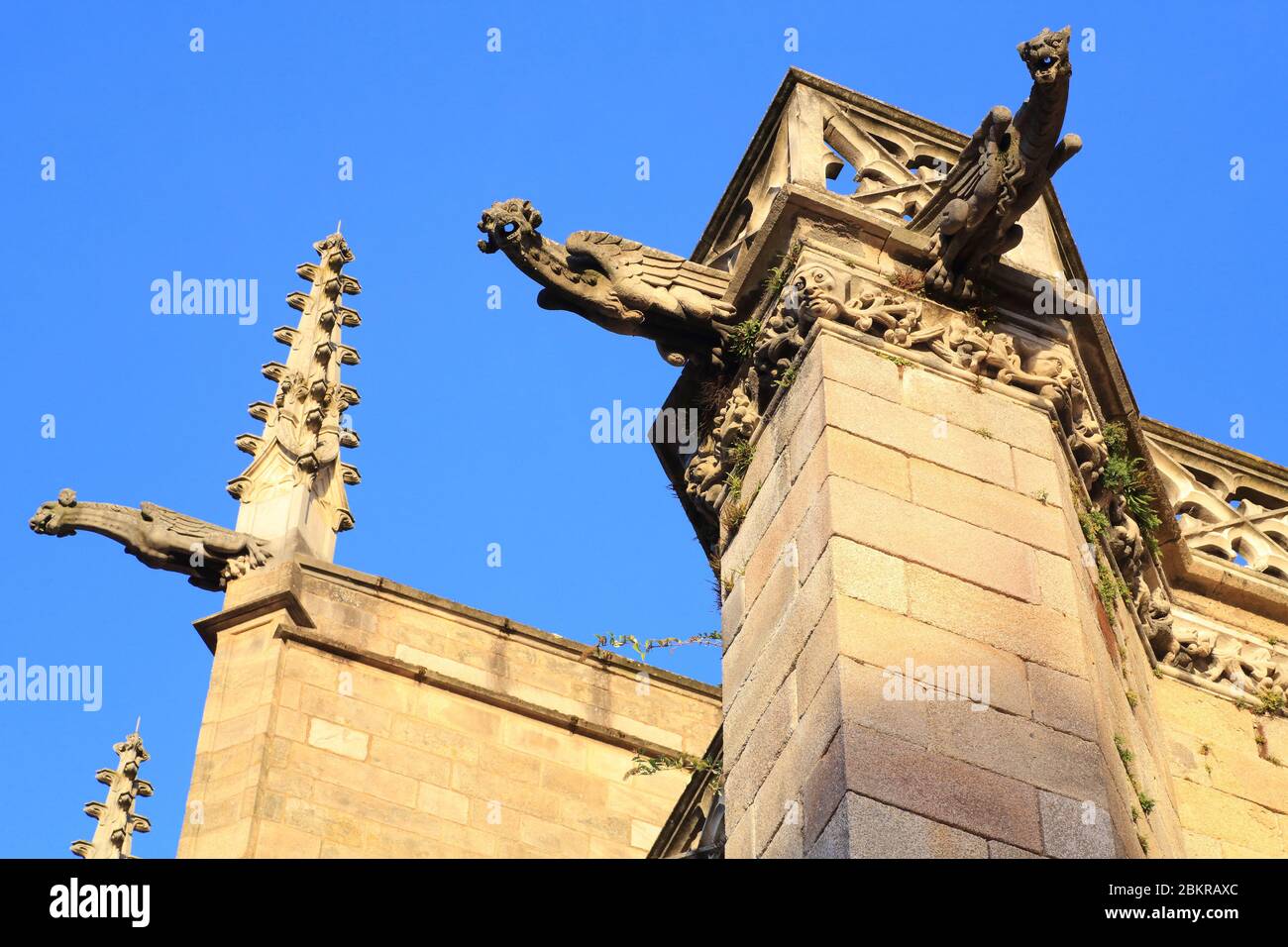 France, Haute Vienne, Limoges, district of the City, cathedral Saint ...