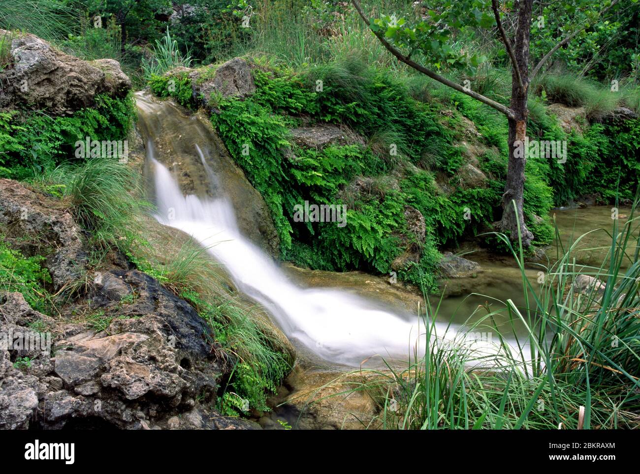 Wood falls hi-res stock photography and images - Alamy