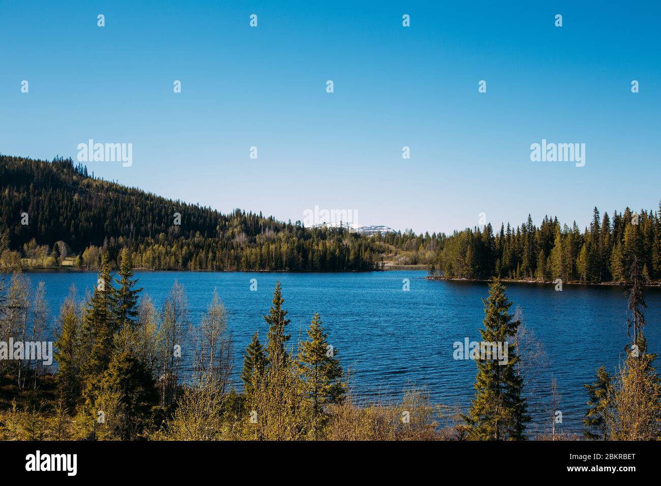 beautiful blue lake in a forest in Sweden Stock Photo - Alamy