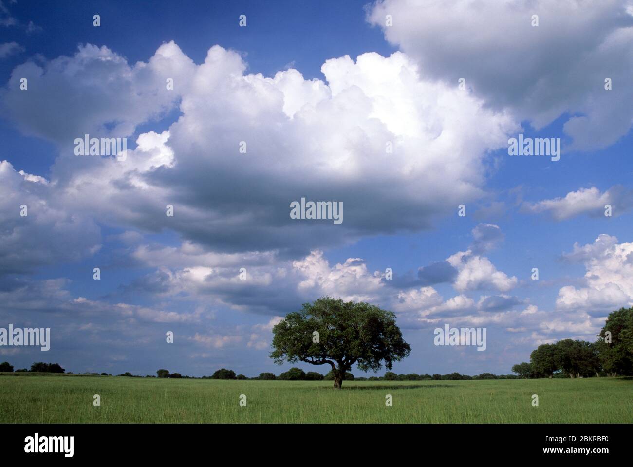 The lone prairie hi-res stock photography and images - Alamy