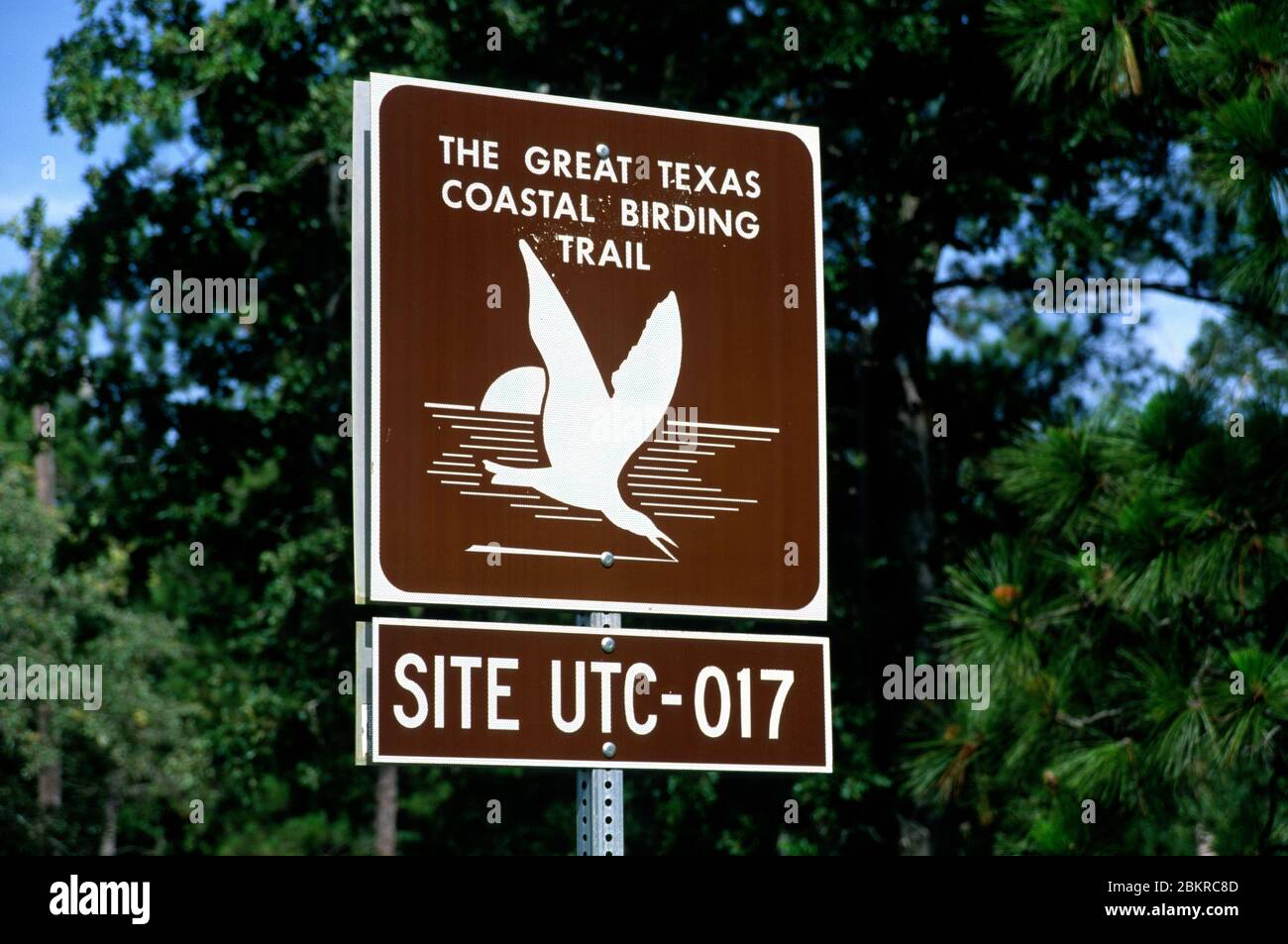 Birding Trail sign, Roy E Larsen Sandyland Sanctuary, Texas Stock Photo ...